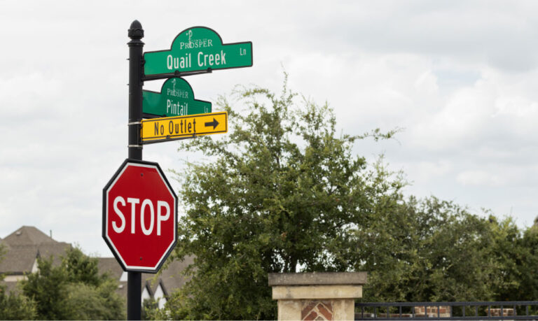 Consistent and Memorable Decorative Community Street Signs